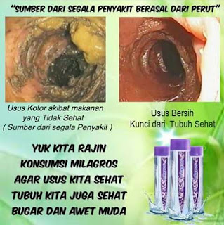 Usus Kotor Sumber Segala Penyakit - bisnis modal rakyat hasil ningrat