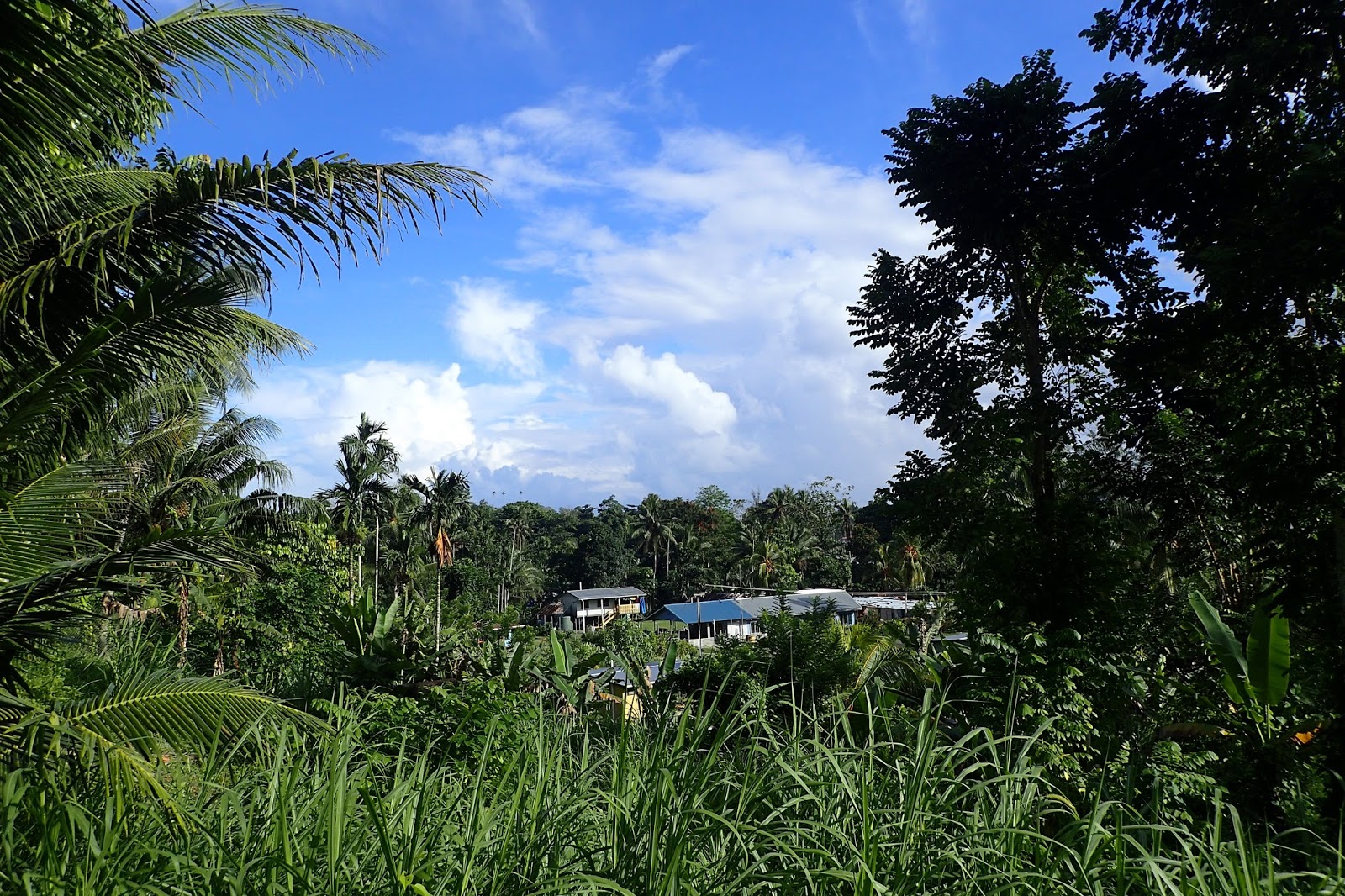Worldbirder: Papua New Guinea 3: Manus Island