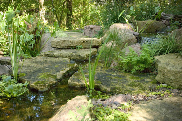 Aquascape Your Landscape: Waterfalls: The Perfect Abode for Moss