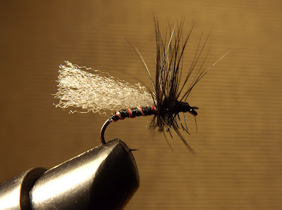 TroutFodder: Winter Stonefly Patterns