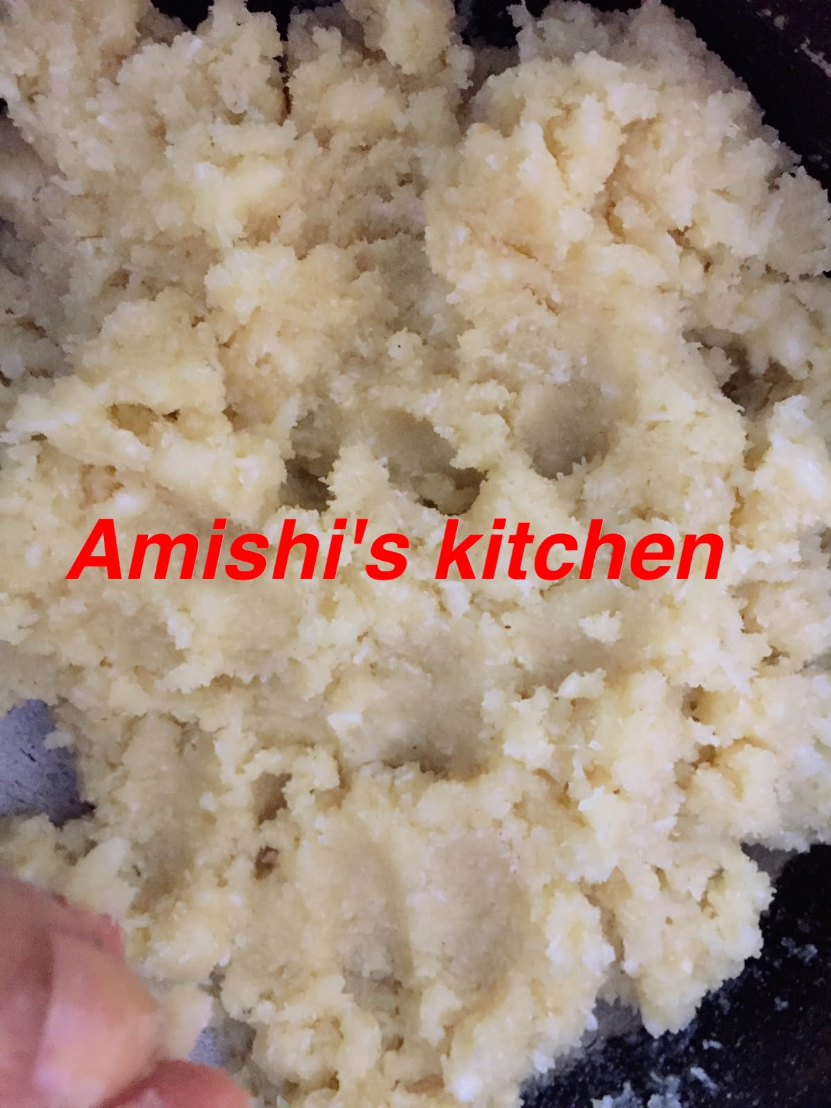 Amishi 's Kitchen : COCONUT MODAK/LADOO/BARFI RECIPE