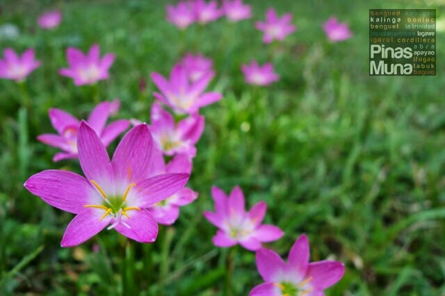 Old Spanish Church Ruins of Pudtol, Apayao
