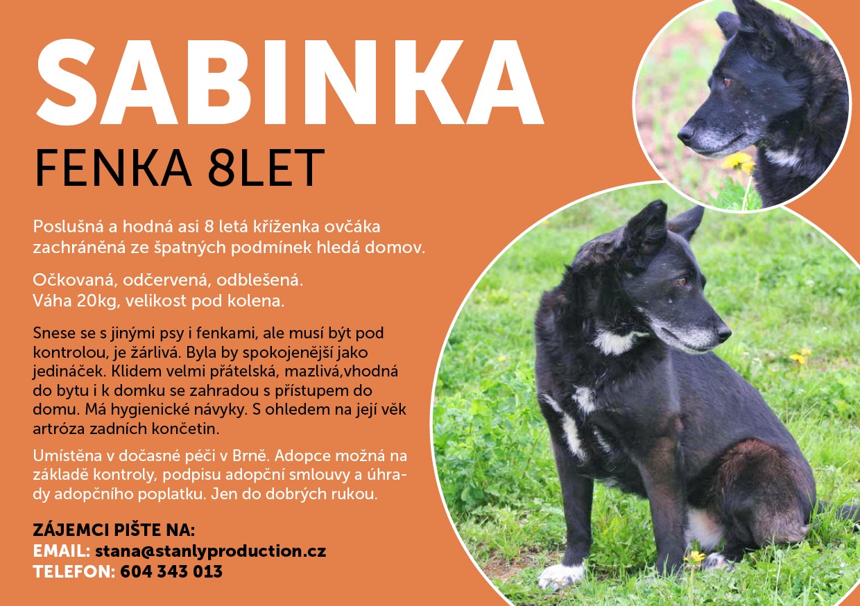 Zvířetník z.s.: Sabinka - srpen 2013