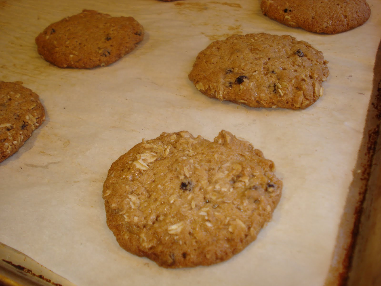 The Cookie Scoop: Oatmeal Currant Cookies
