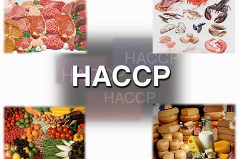 Establecimiento de programas prerequisitos y plan HACCP - Norma GMP B2
