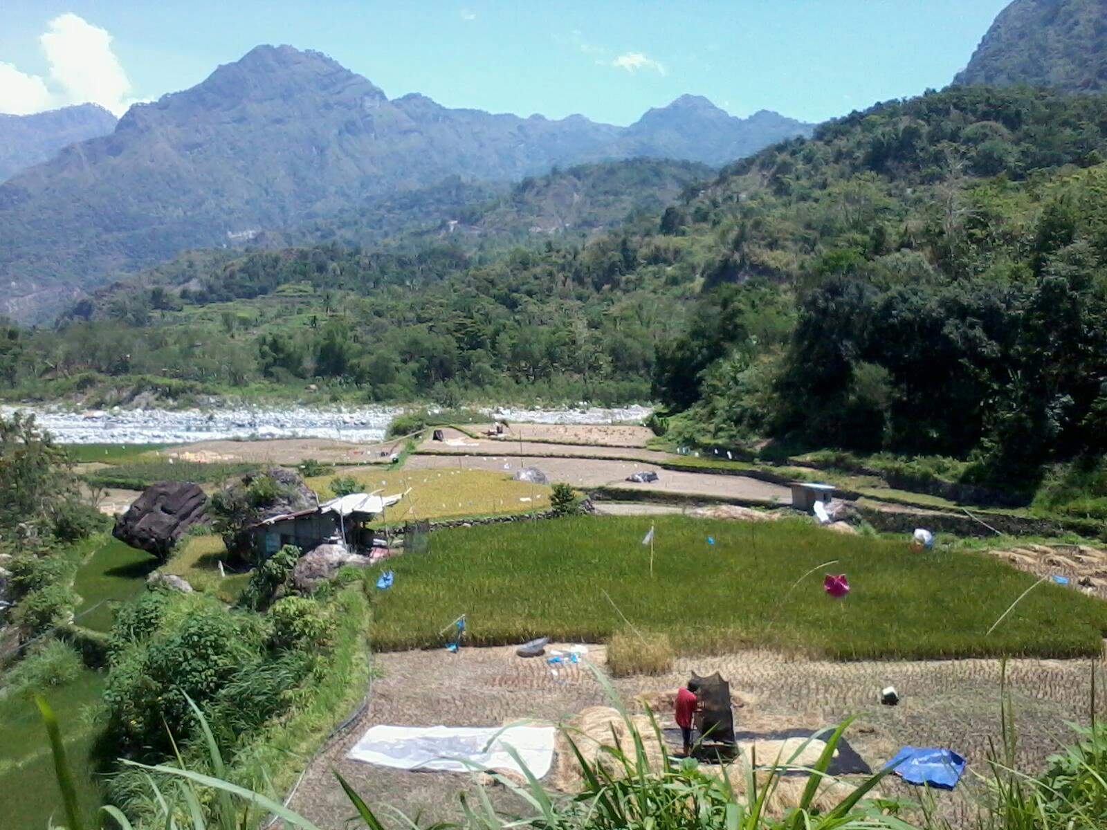 Saan Patungo ang Langay- Langayan?: EXPLORE YOUR DREAMS & EMBRACE YOUR ...