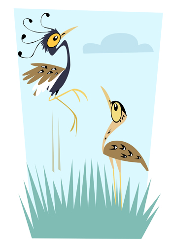 Green Humour: Illustrated Courtship Displays of Ten Indian Birds