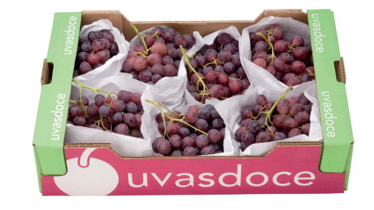 Peruvian Grapes Export::exportación de uvas peruanas: Embalaje