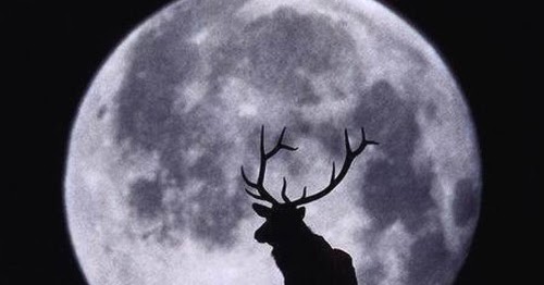 In Her Name ~ Temple of Learning: Full Moon Blessings