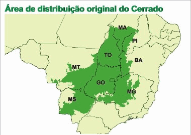 Caatinga e Cerrado - 1V01