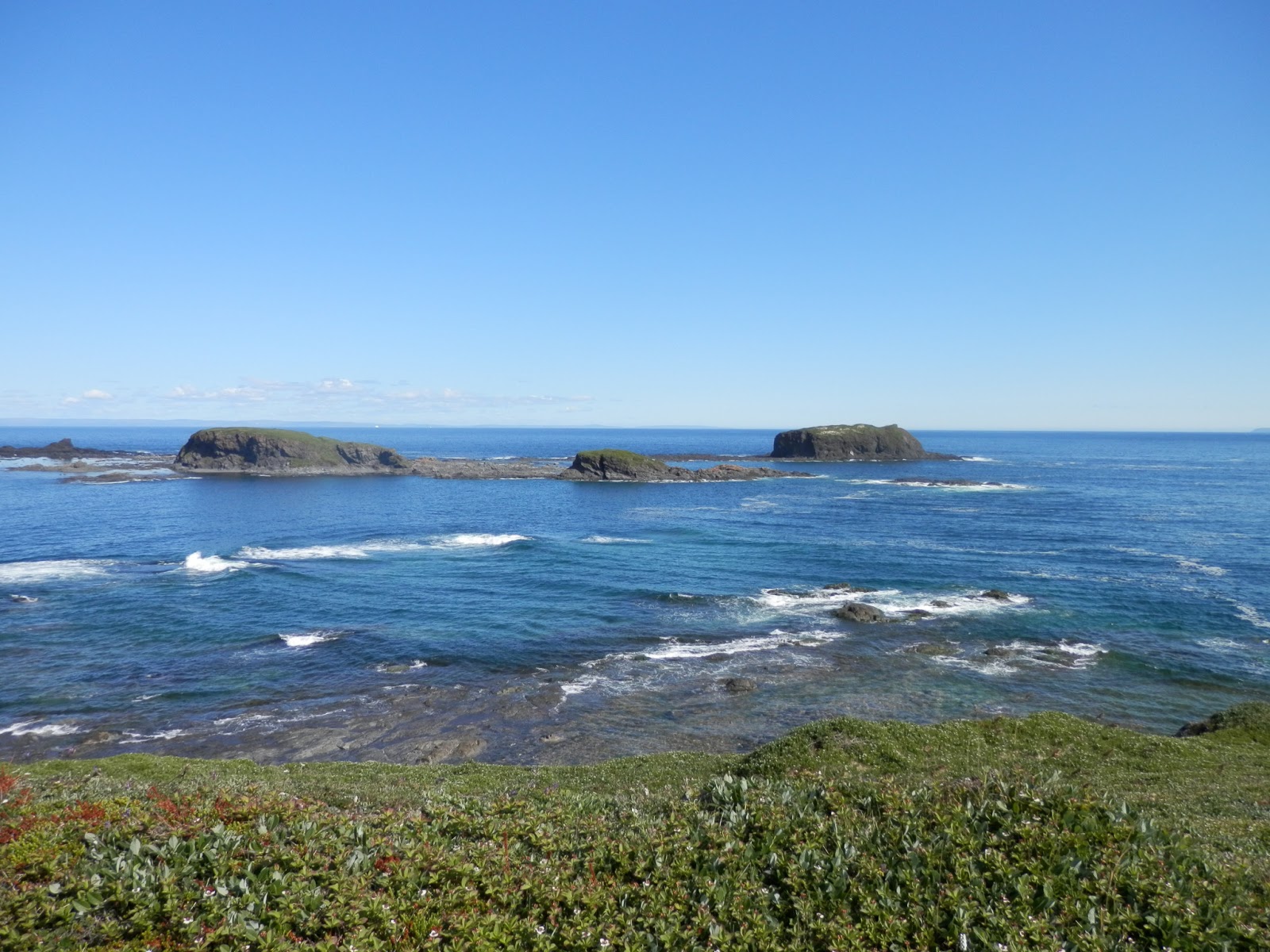 Gina's Blog: The Great Outdoors: Scenes from Newfoundland and Labrador