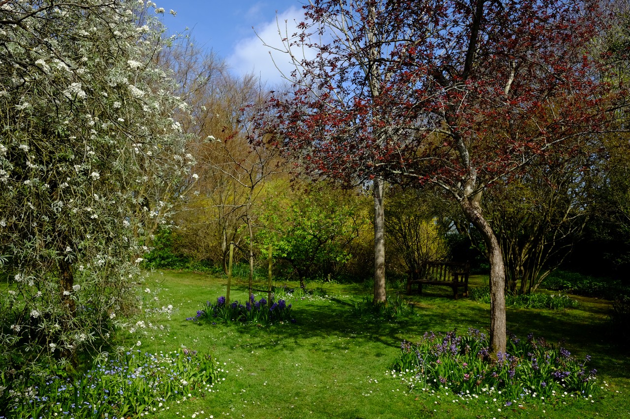 Tricia's Tales: Highdown Gardens and Worthing sea front