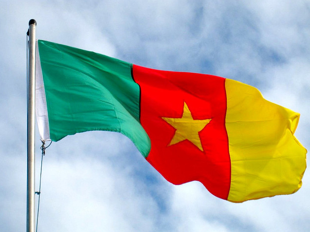 Graafix!: Flag of Cameroon flag graphics