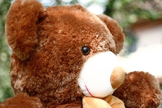 jual boneka teddy bear lucu murah dan besar | Reseller boneka | Beli ...