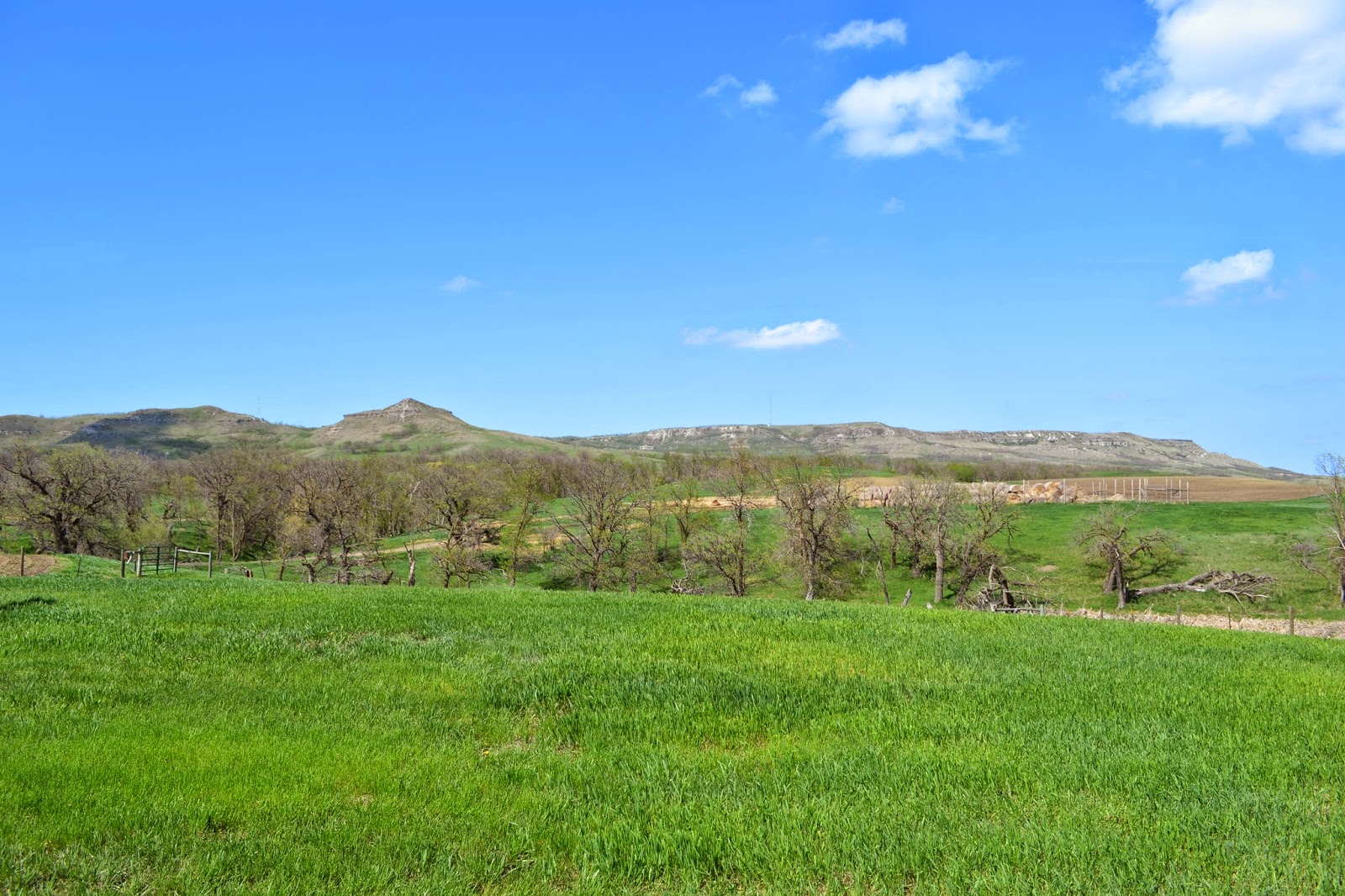 The First Scout: Mystic Warriors Of The High Plains: The Killdeer ...