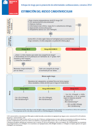 Implementación del enfoque de riesgo en el programa de salud ...
