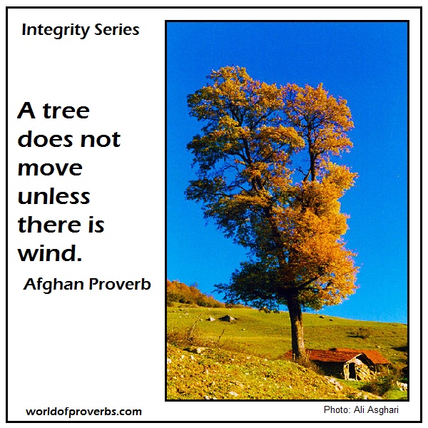 Photo by Ali Asghari