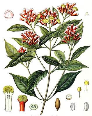 CLAVERO Y CLAVO :'''NO LO SE!!!... ¿O SI?