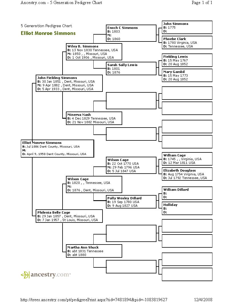 Simmons Family & Friends: December 2008
