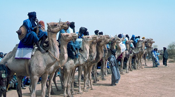 POR AMOR A VENEZUELA: EL REY MAMBRINO Y EL MULADÍ