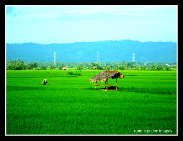 Travels and History: Enigmatic Beauty of Polangui, Albay