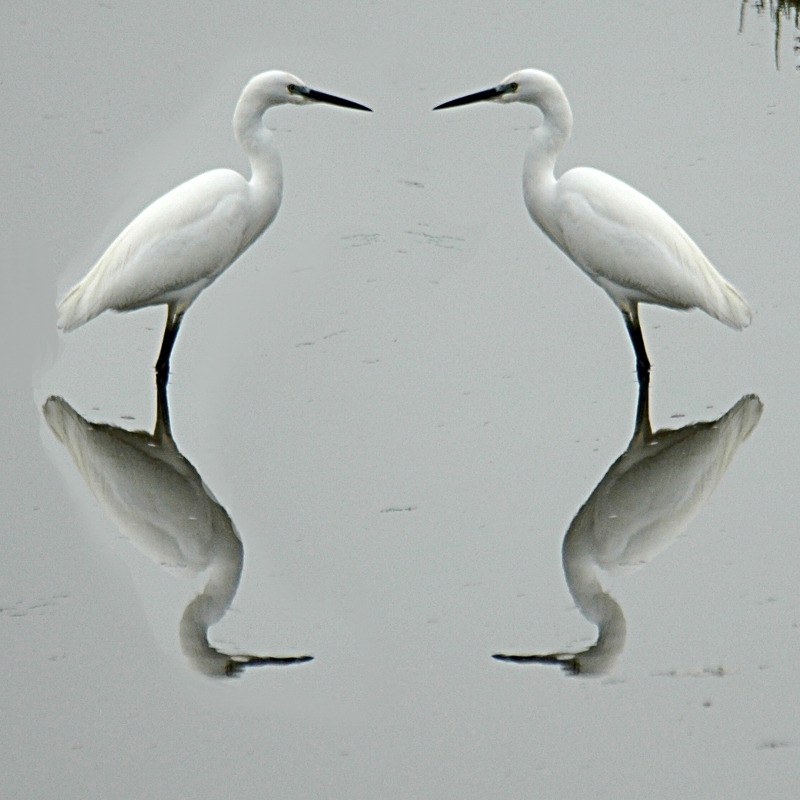Aprendiendo a aprender: Simetrías.