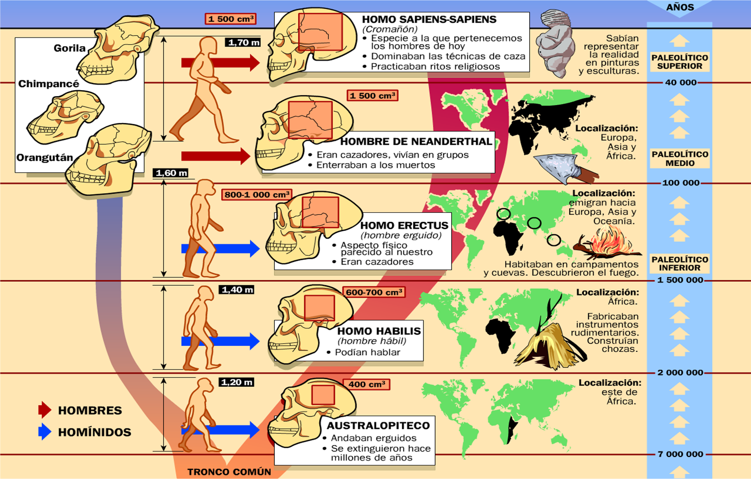 validacion sociales politec: division de la historia: PREHISTORIA E ...