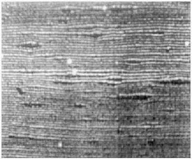 Different types of yarn | yarn properties and definition of yarn ...