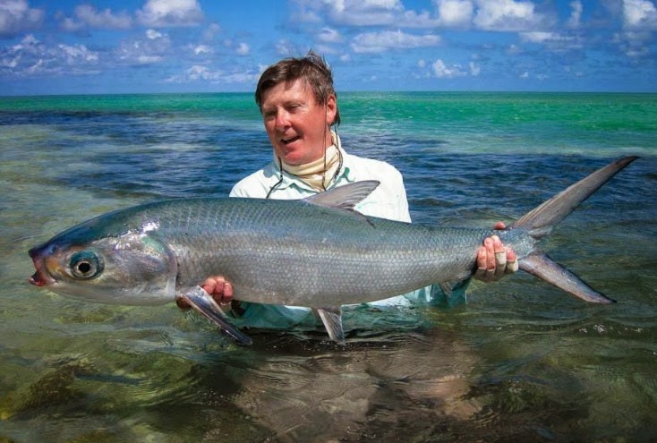 Big Fishes of the World: MILKFISH (Chanos chanos)