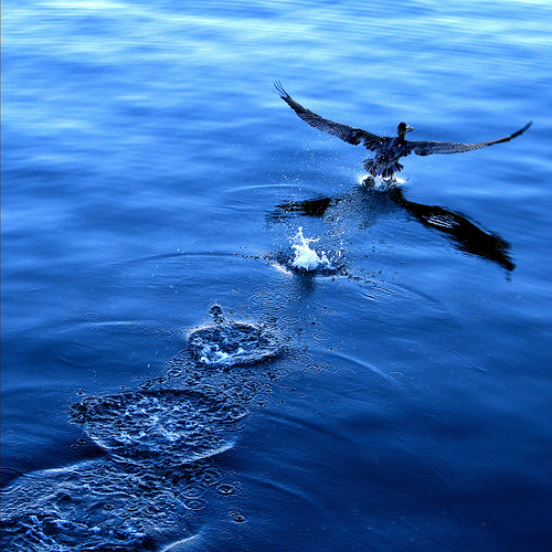 Watu Fashion About!!