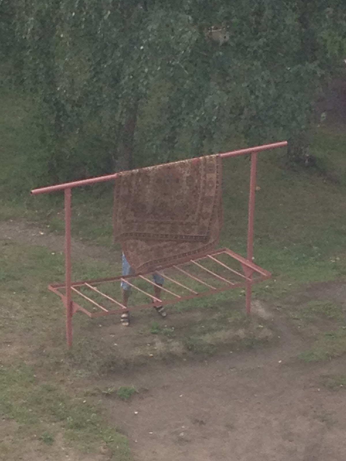 At Least One Picture A Day: August 21 2012 Rug Beating