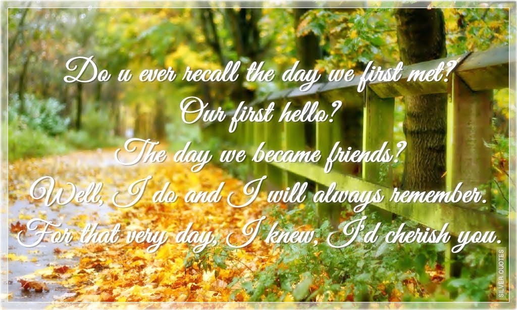 Do You Ever Recall The Day We First Met? - SILVER QUOTES