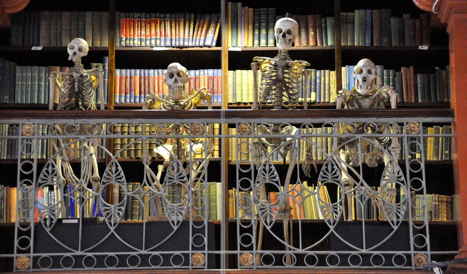 Mystery Fanfare: Skeletons in the Library