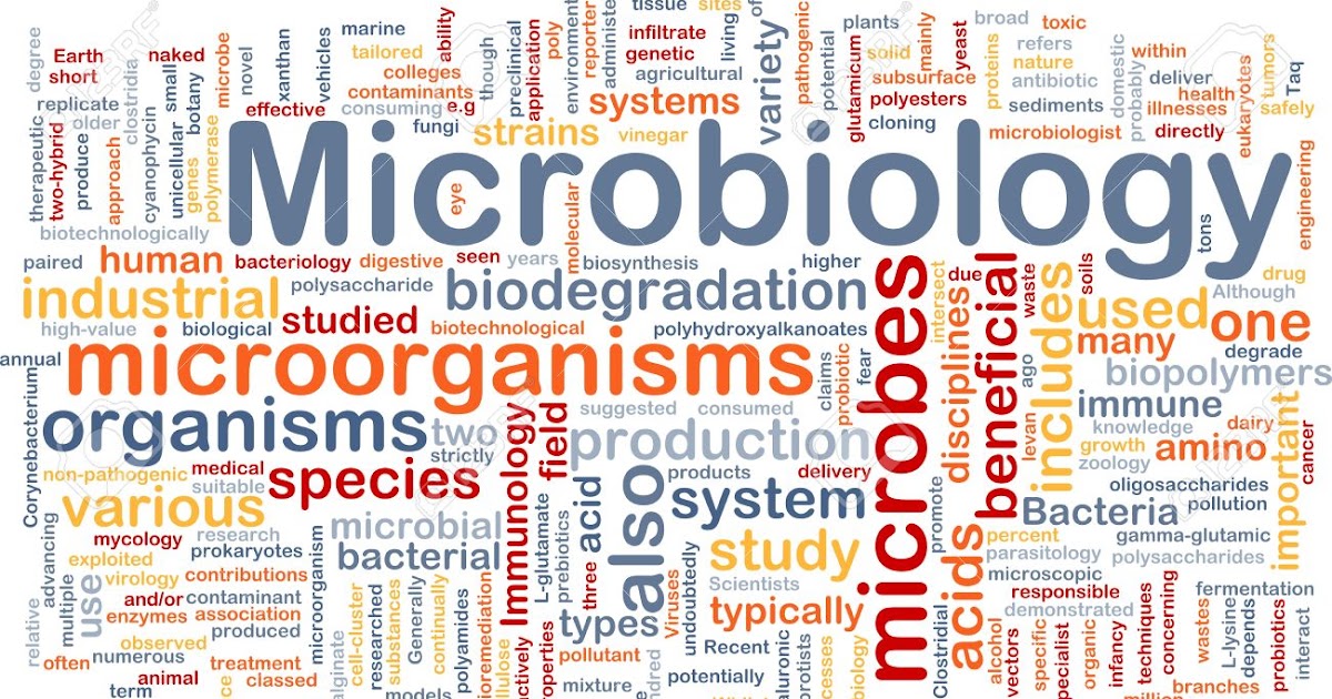 First week in Microbiology class