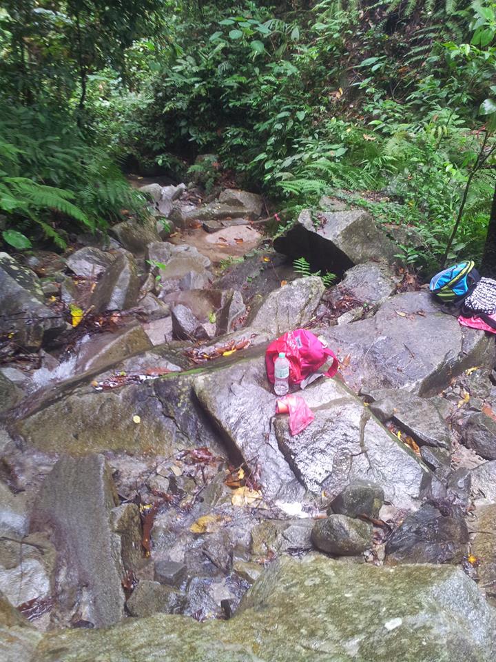 Mountain Climbing in Mt. Diwata - All Things Bright and Beautiful