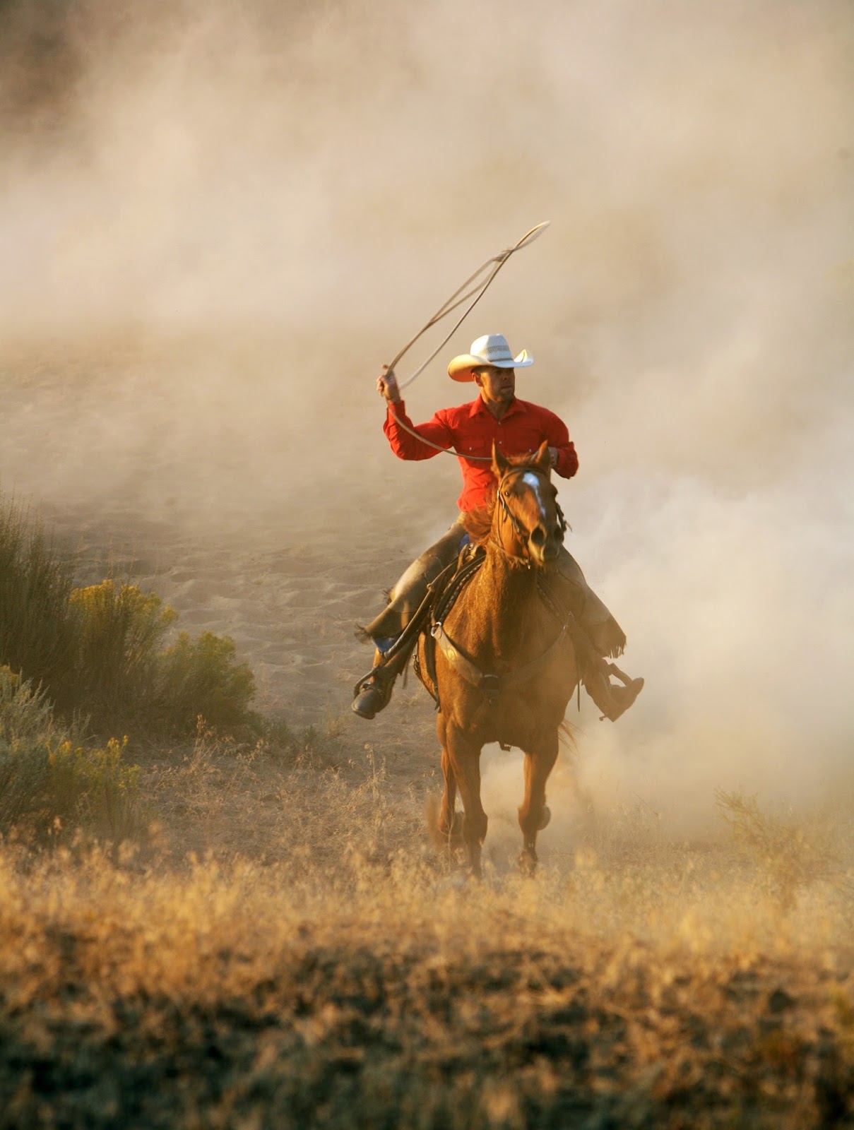 Cowboy Kisses: The Resurgence of the Historical Western Romance: Why ...
