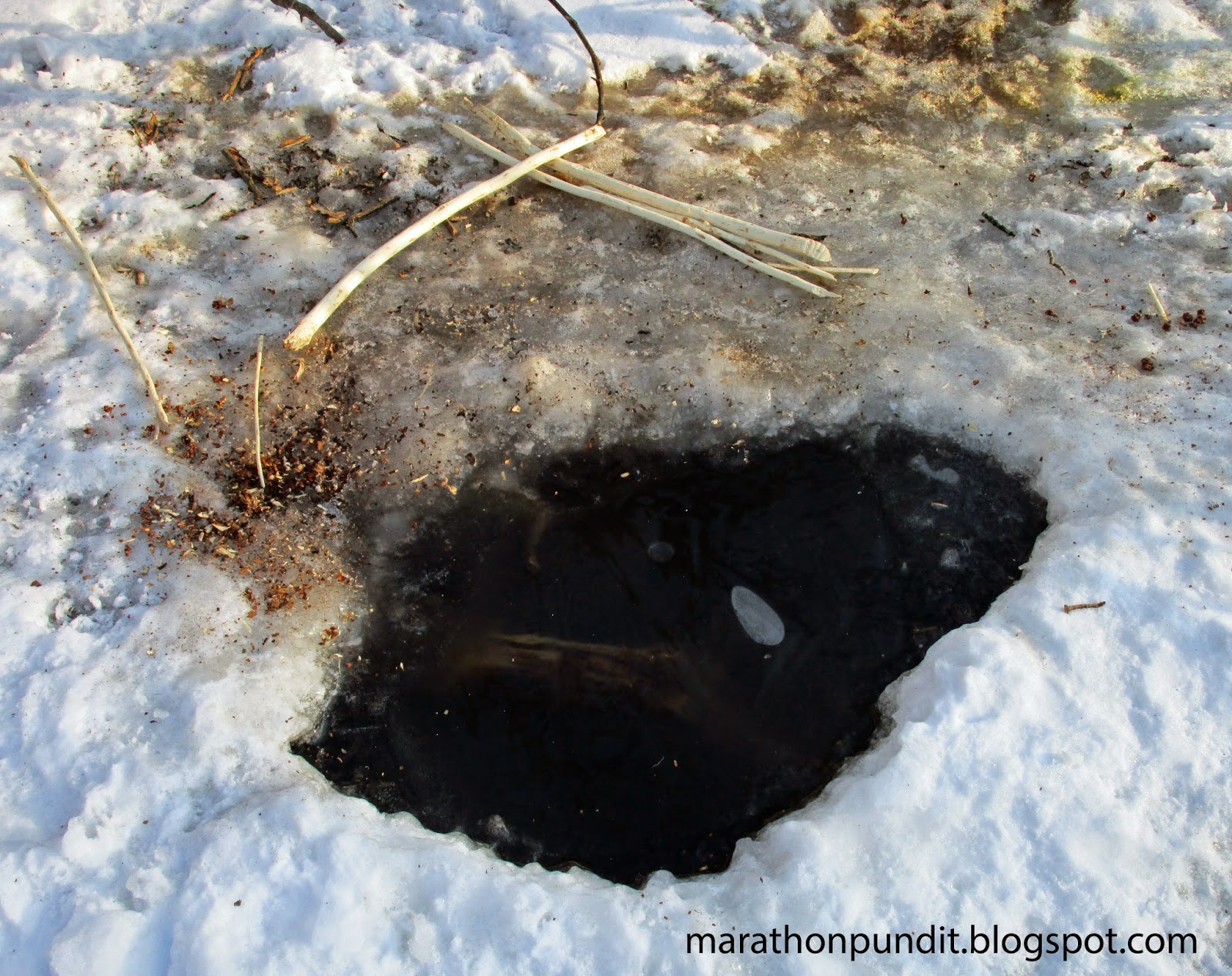 Marathon Pundit: (Photos) Beaver holes in Des Plaines River ice