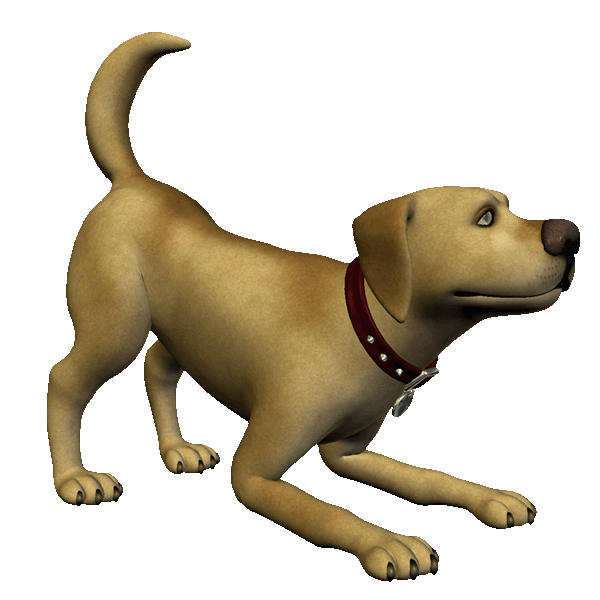 GIF ANIMADOS DE PERRO - Imagui