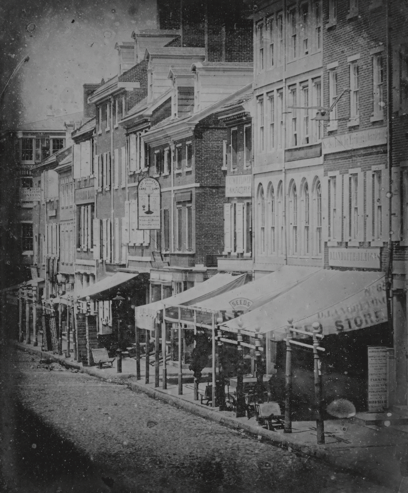 The Chubachus Library of Photographic History: View of Chestnut Street ...