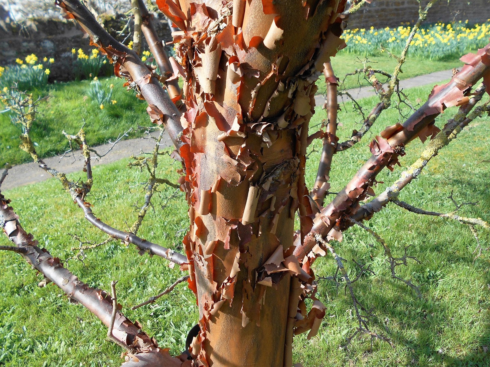 Tony's Blog: Holy Cross churchyard, Byfield