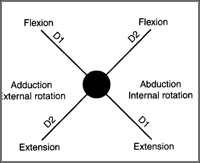VASTRAL PHYSIOTHERAPY CLINIC: Proprioceptive Neuromuscular Facilitation ...