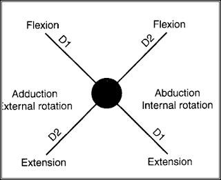 VASTRAL PHYSIOTHERAPY CLINIC: Proprioceptive Neuromuscular Facilitation ...