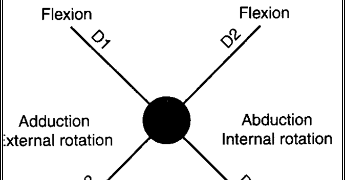 VASTRAL PHYSIOTHERAPY CLINIC: Proprioceptive Neuromuscular Facilitation ...
