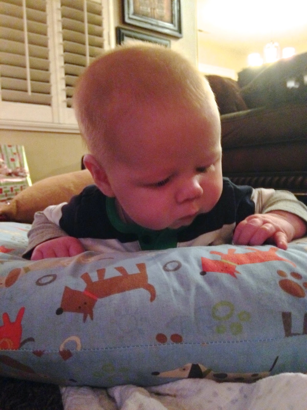 The Labrum's: Some Tummy time and funny faces
