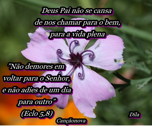 *Na vida tudo tem um sentido!: Gênesis 1:29-30
