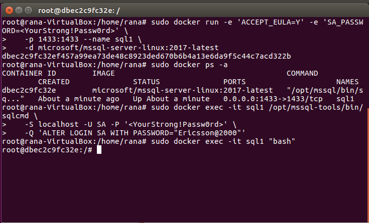 sql1996: Installation steps of SQL Server 2017 container image with Docker