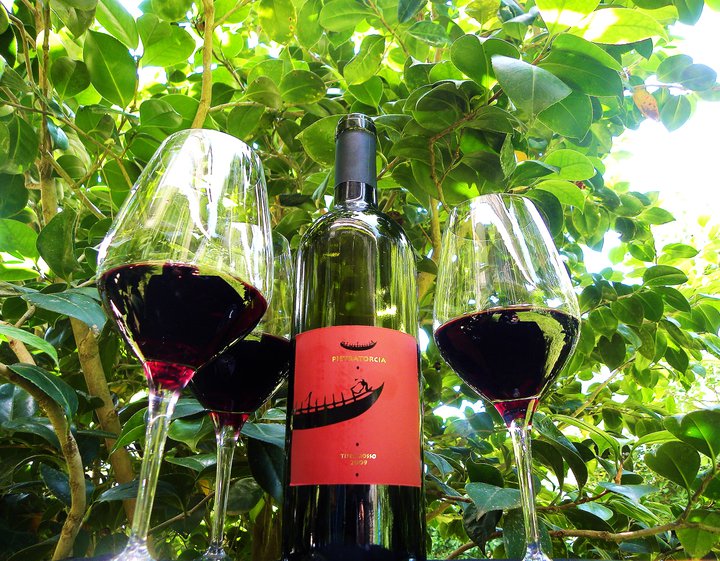 Ischia Apartments: Pietratorcia wine cellar Ischia