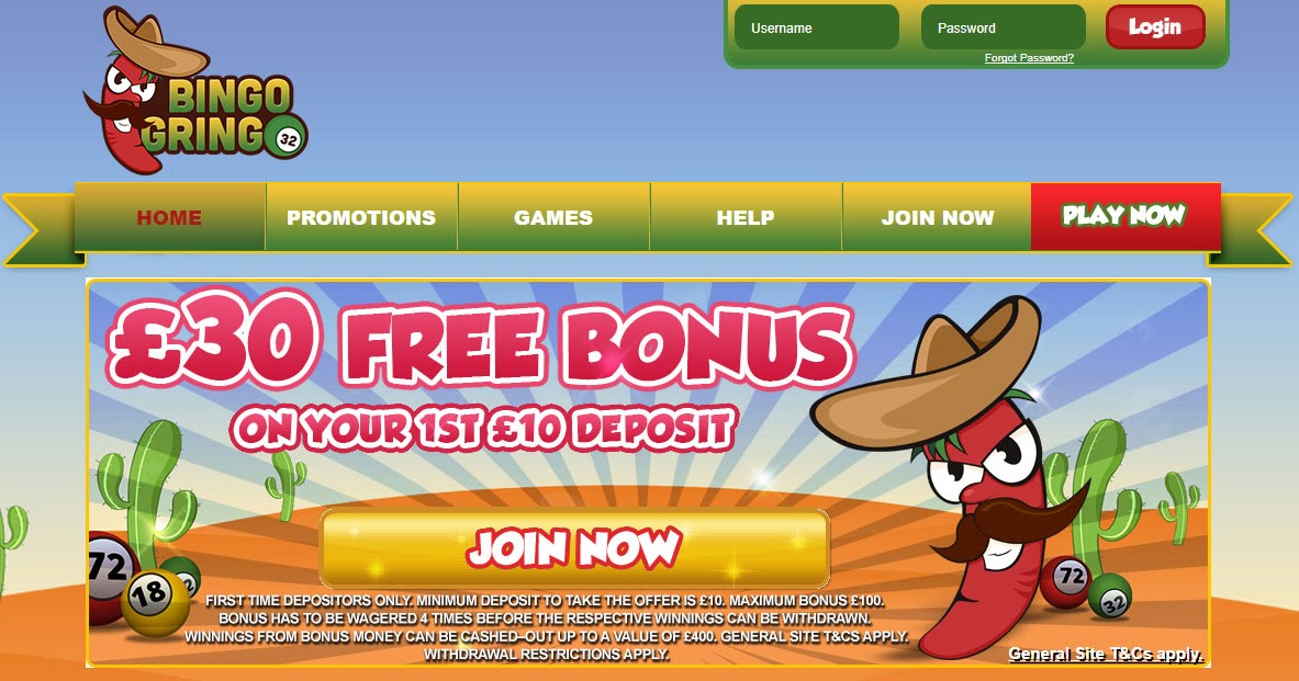 Top Bingo Games: 3 Reasons to Explore Daily Bingo Trips