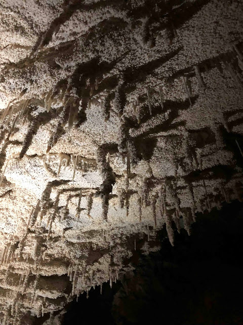 Hawaii Mom Blog: Visit New Zealand: Ruakuri Cave