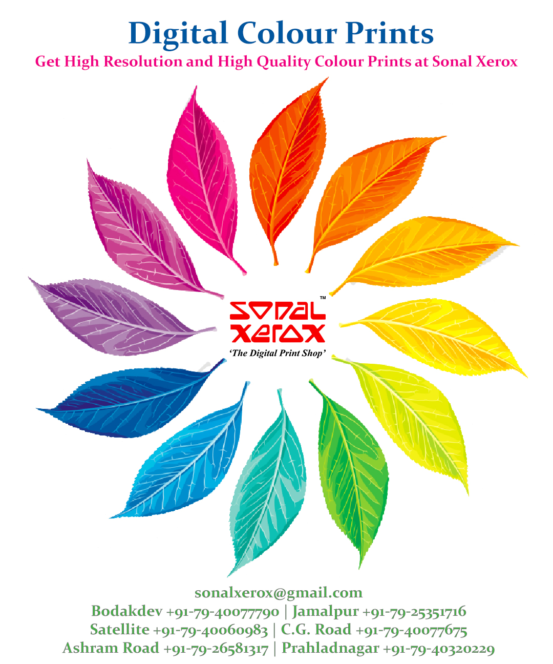 Digital Colour Prints